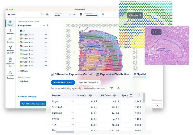 10x Genomics Visium