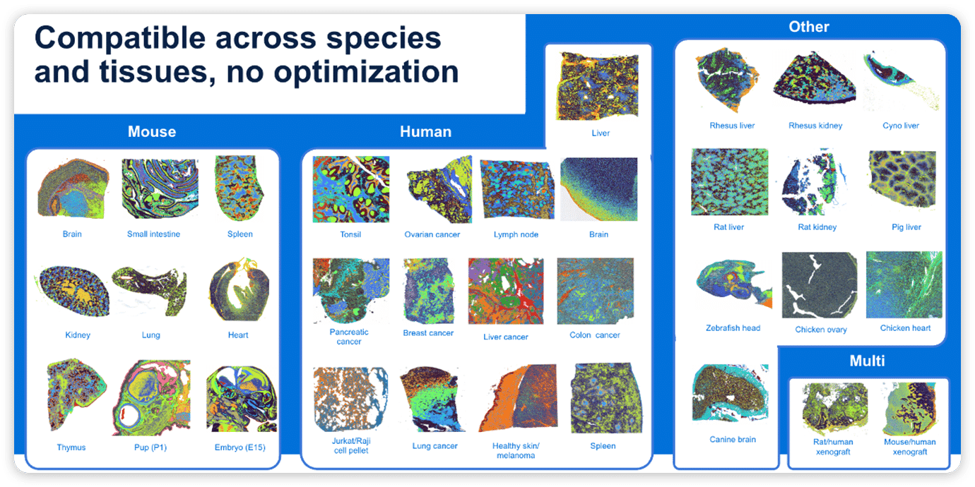 Deeper Spatial Discovery with Visium HD 3' | Millennium Science
