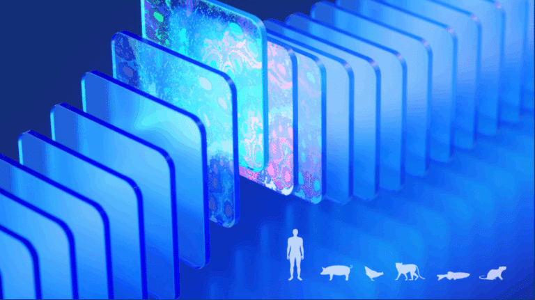 Deeper Spatial Discovery with Visium HD 3′ - Millennium Science