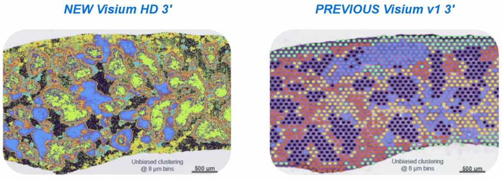 Deeper Spatial Discovery with Visium HD 3' | Millennium Science