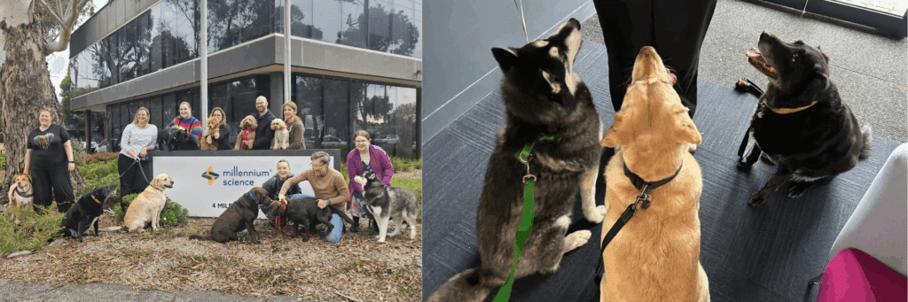 Paws, Science & Smiles: Millennium Science Bring Your Dog to Work Day ...