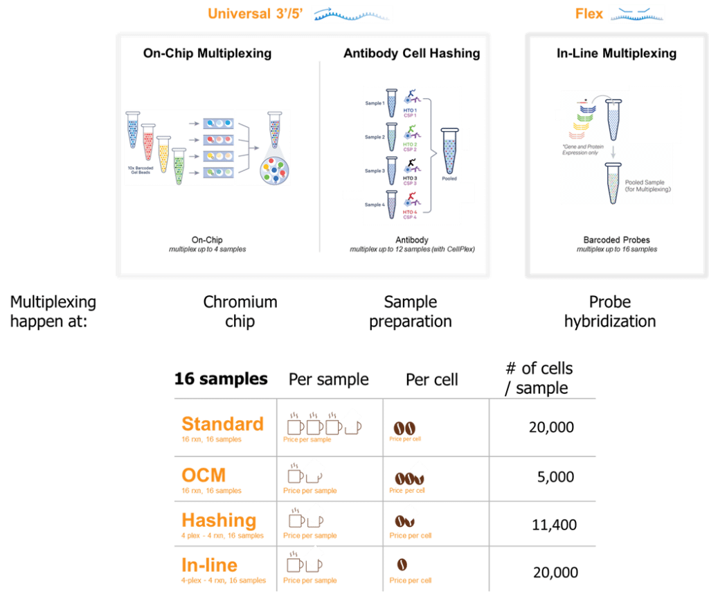 10x Genomics Chromium Single-Cell