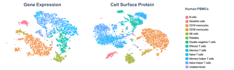 Beyond Flow Cytometry: Unlocking Single-Cell Insights with 10x Genomics